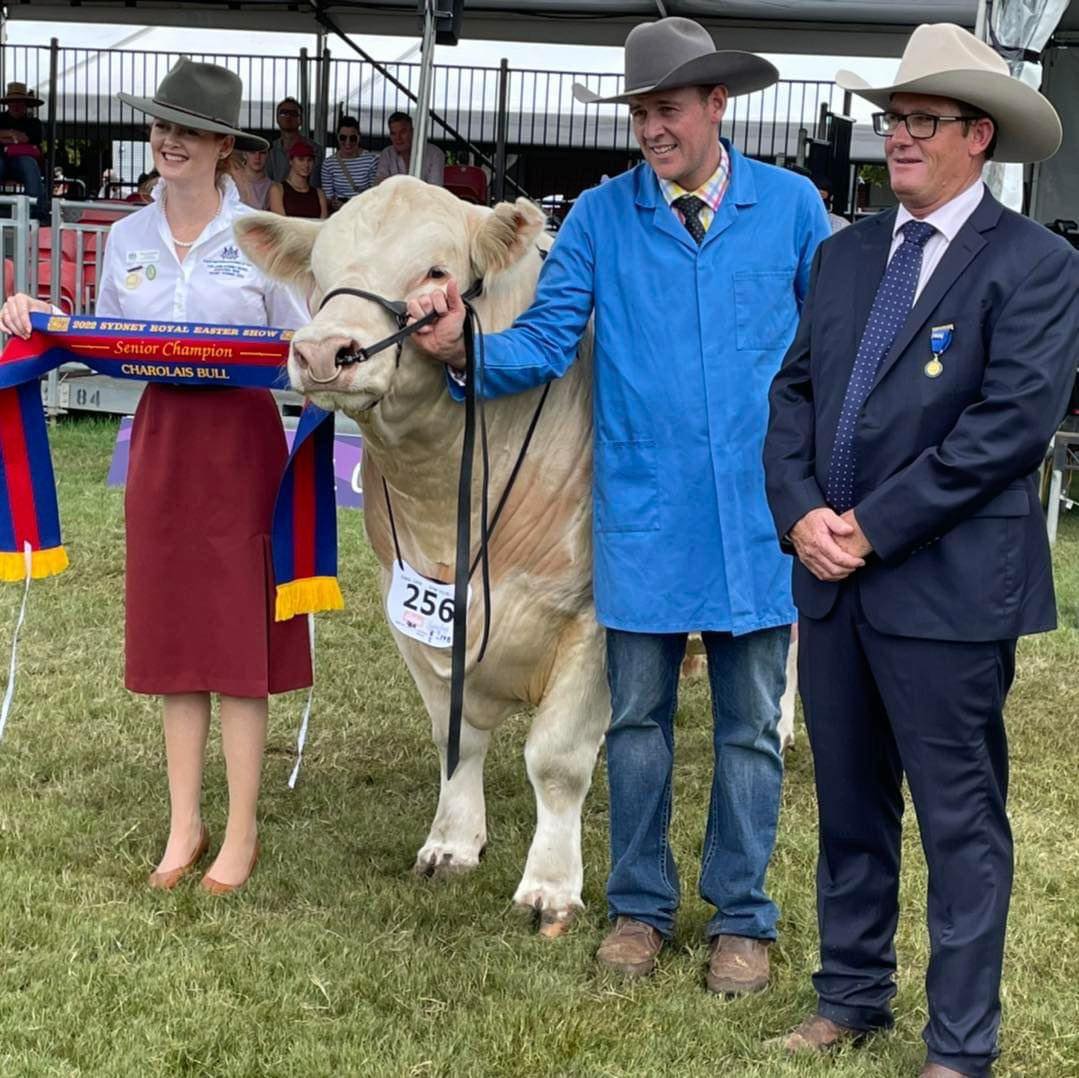 2022 Sydney Royal Results – Venturon Livestock