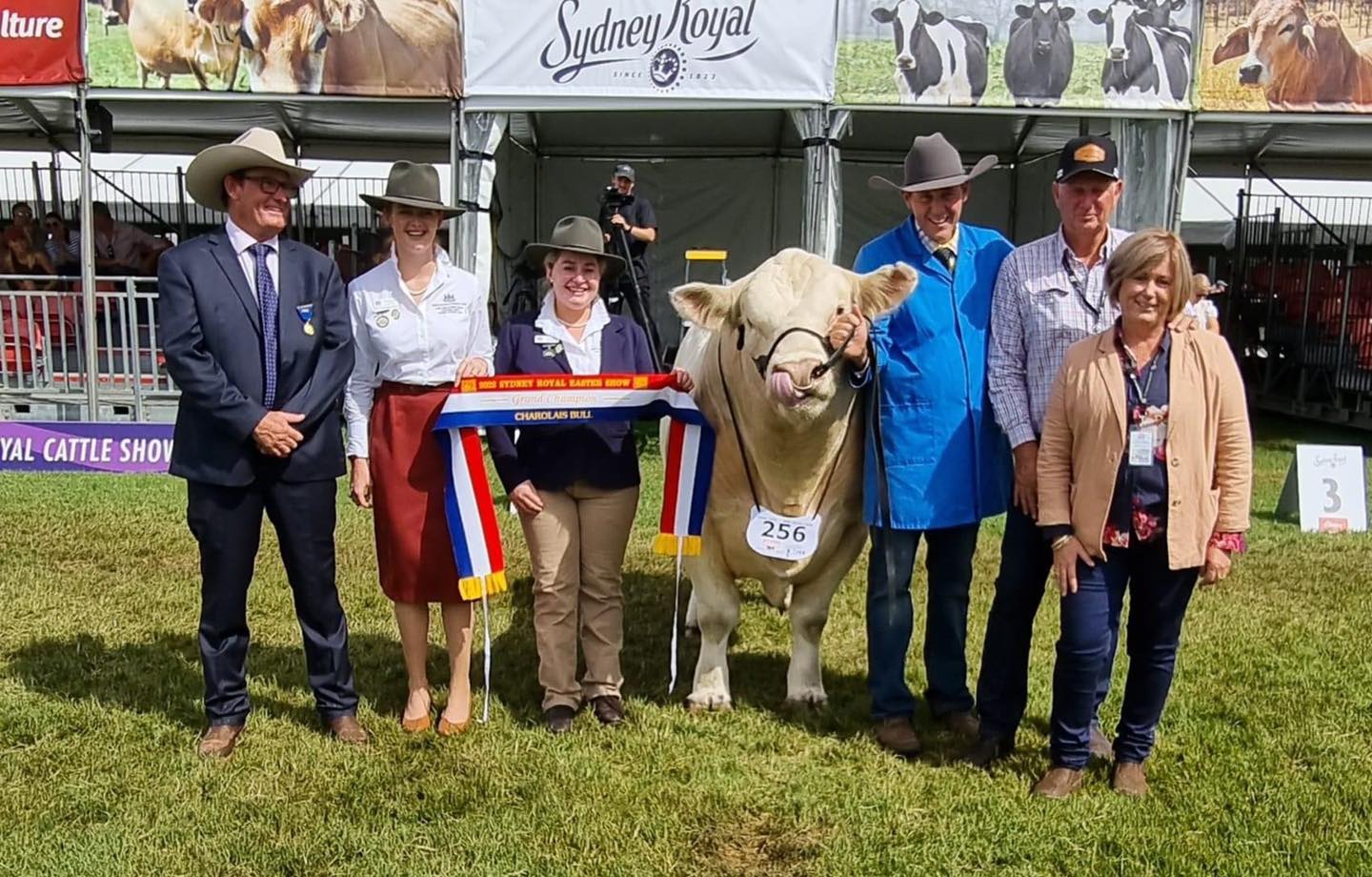 2022 Sydney Royal Results – Venturon Livestock